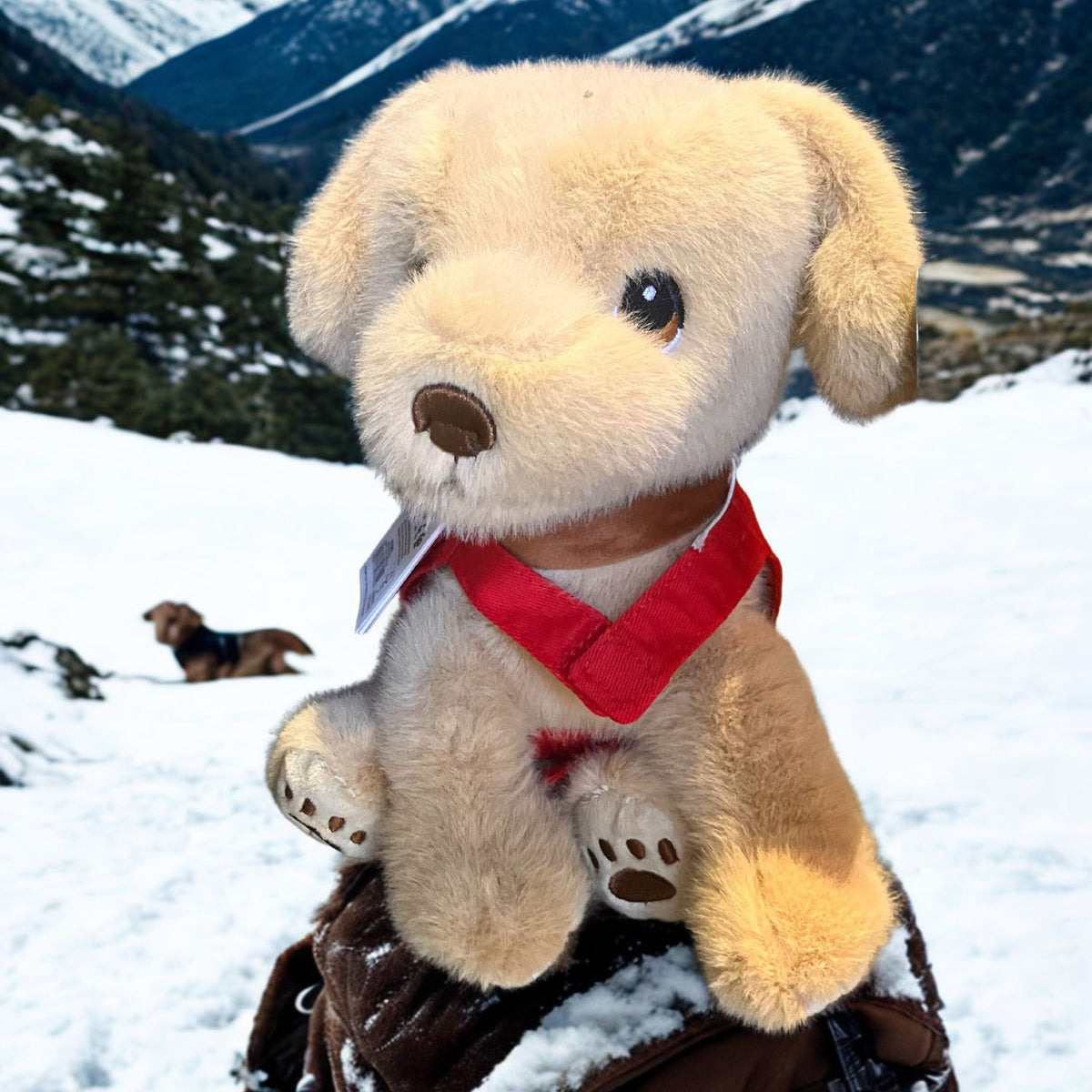 Monty the Labrador Patrol Dog Soft Toy – Cardrona Corner